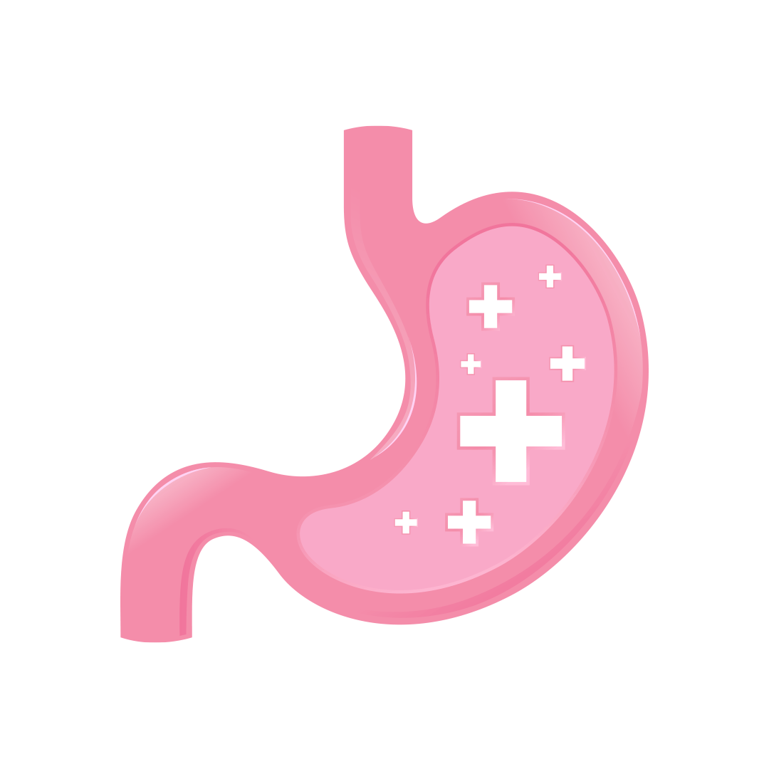 Max Digestive | Next Wave Labs