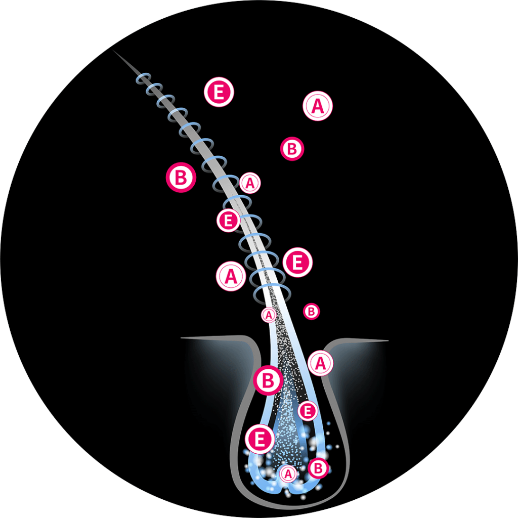 Max Hair Repair | Next Wave Labs